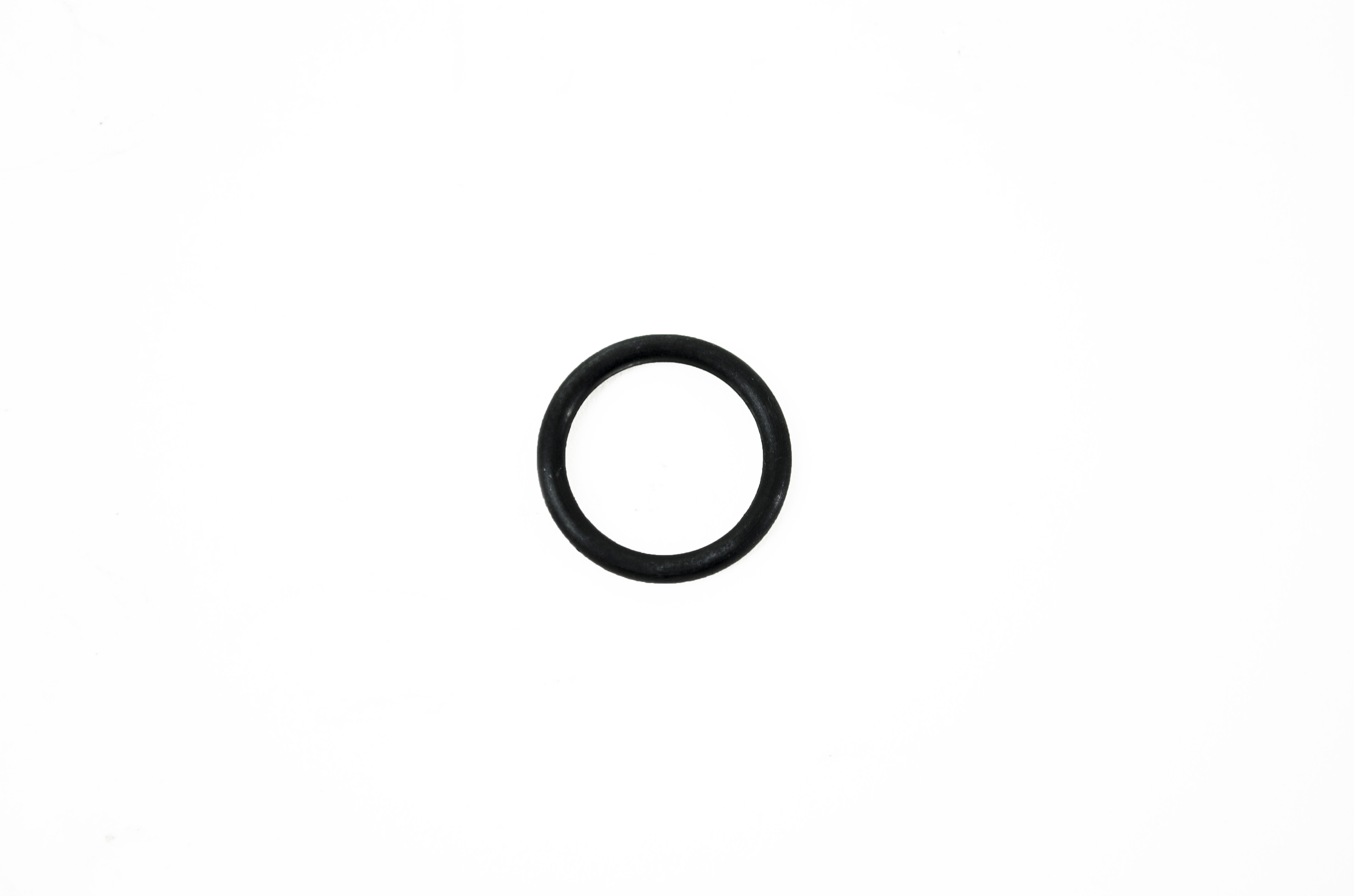 O-Ring: Insertion Tube Proximal End Fitting - ENDOCORP