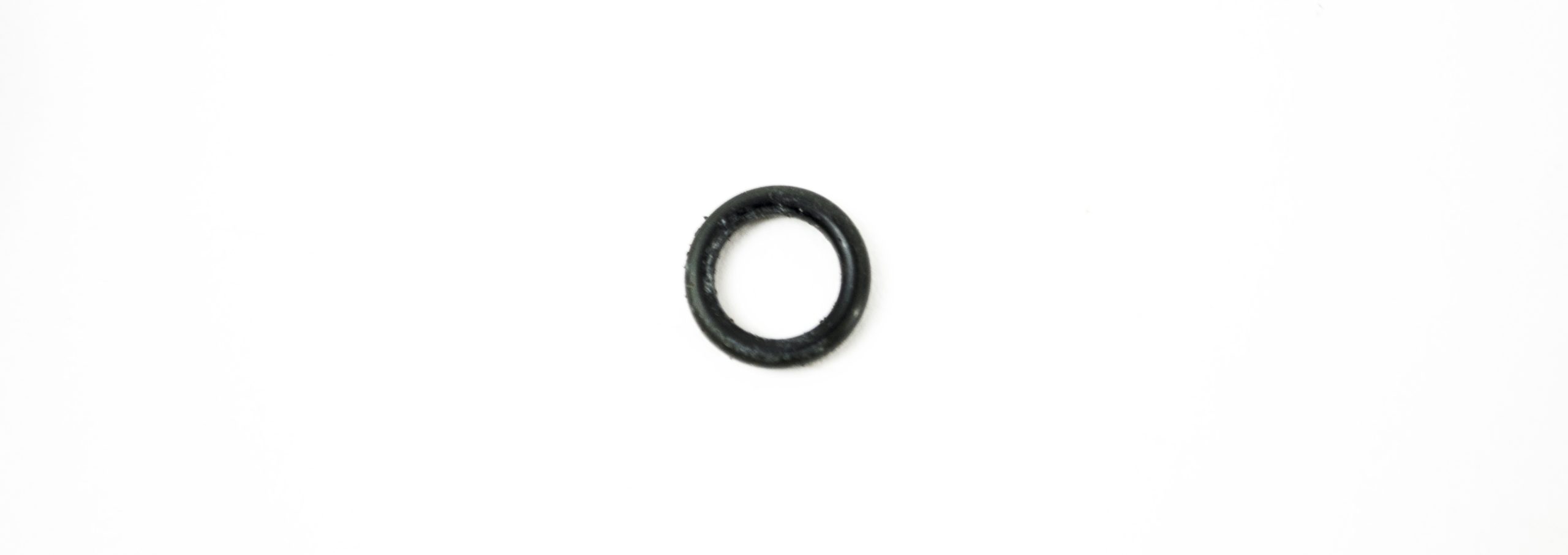 O-Ring: Biopsy Port Therapeutic (Distal End) - ENDOCORP