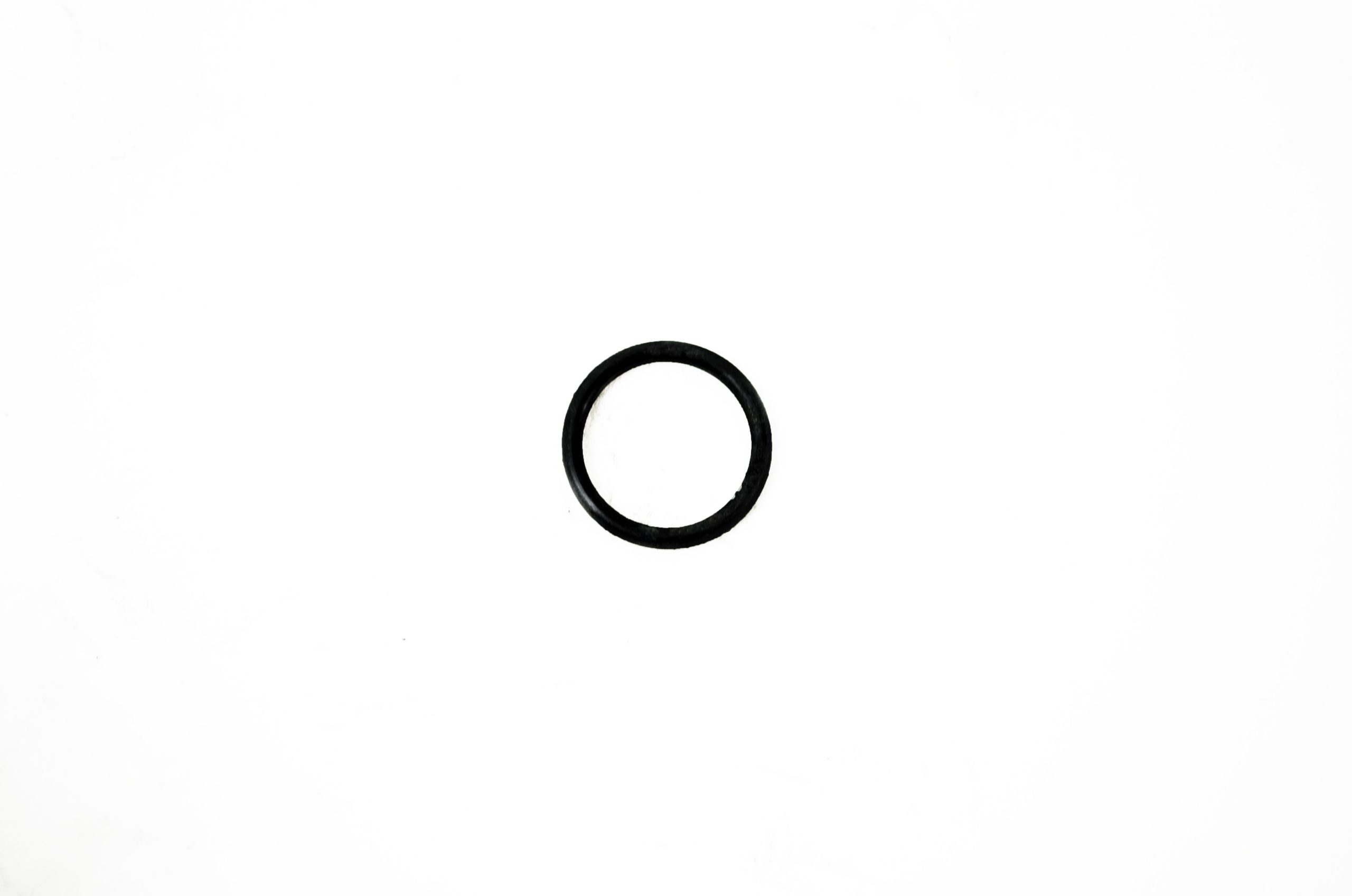 O-Ring: Insertion Tube Proximal End Fitting - GIF-Q140, PCF-140L, JF ...