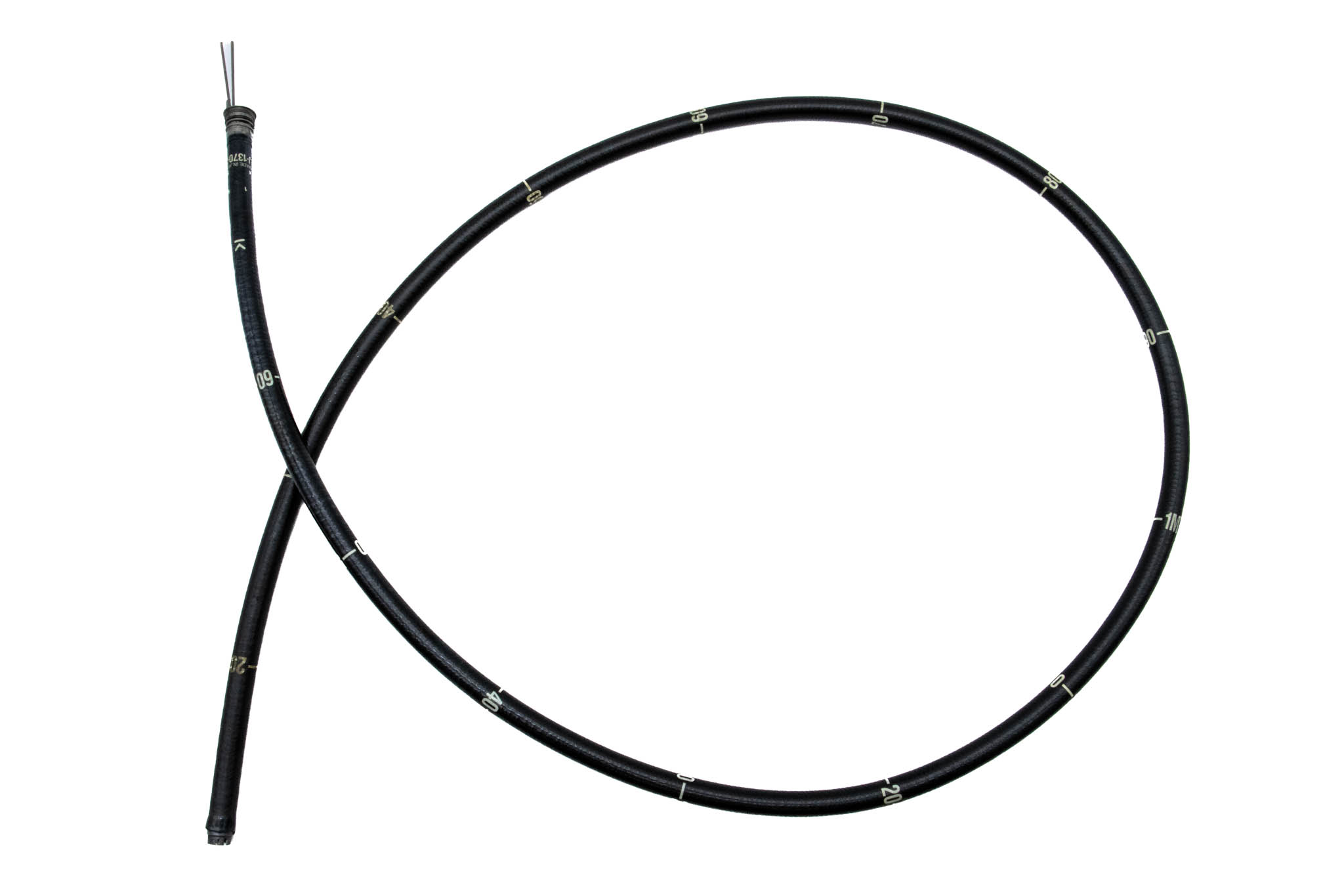 Insertion Tube with Coil Pipe Assembly & Fitting - CF-H260AL | ENDOCORP